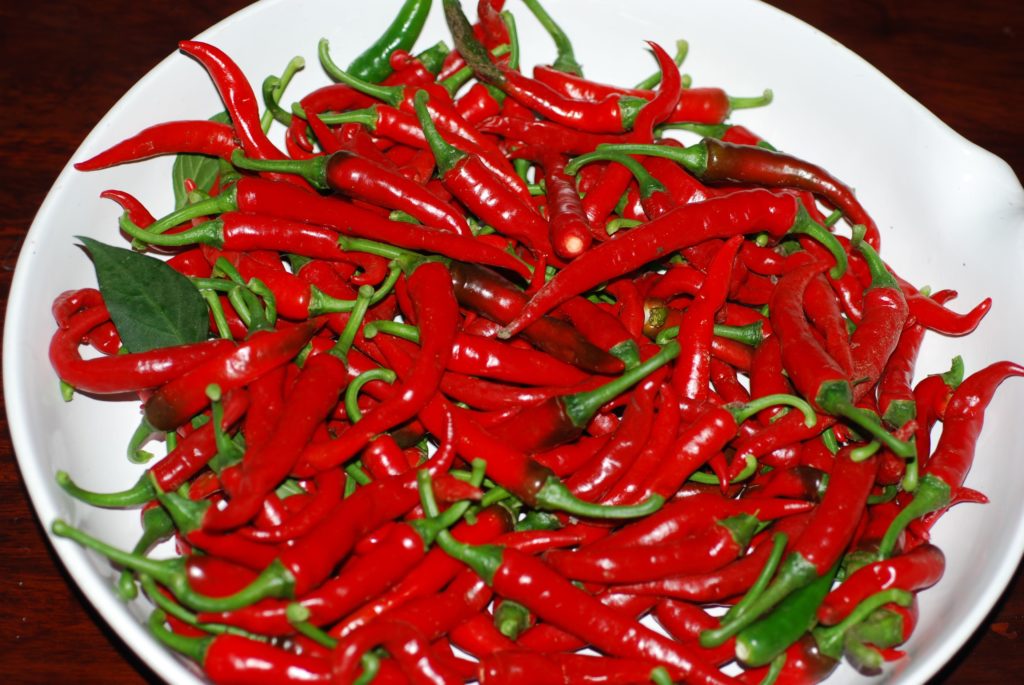 GROWING CHILLIES IN A CHILLIGROW - LEARN HOW TO GARDEN